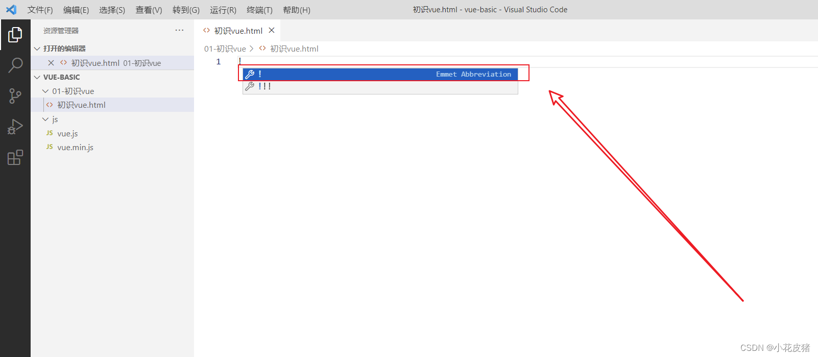 vscode 快速生成html模板代码的几种方式-阿里云开发者社区