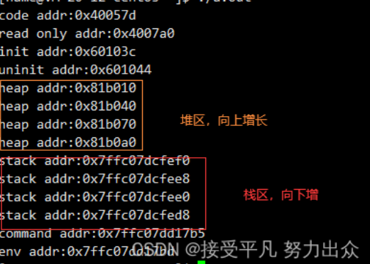 【Linux篇】第八篇——进程地址空间-阿里云开发者社区