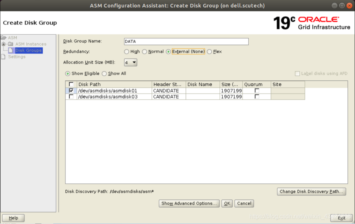 配置asm_diskstring解决因磁盘路径重复导致的ASM挂载失败ORA-15040-开发者社区-阿里云