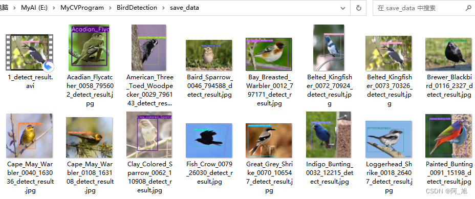 基于yolov8深度学习的200种鸟类智能检测与识别系统【python源码pyqt5界面数据集训练代码】目标检测、深度学习实战 阿里云开发者社区