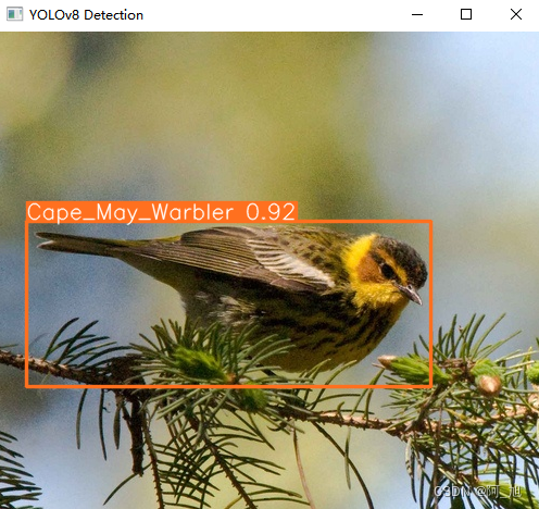 基于YOLOv8深度学习的200种鸟类智能检测与识别系统【python源码+Pyqt5界面+数据集+训练代码】目标检测、深度学习实战-阿里云开发者社区