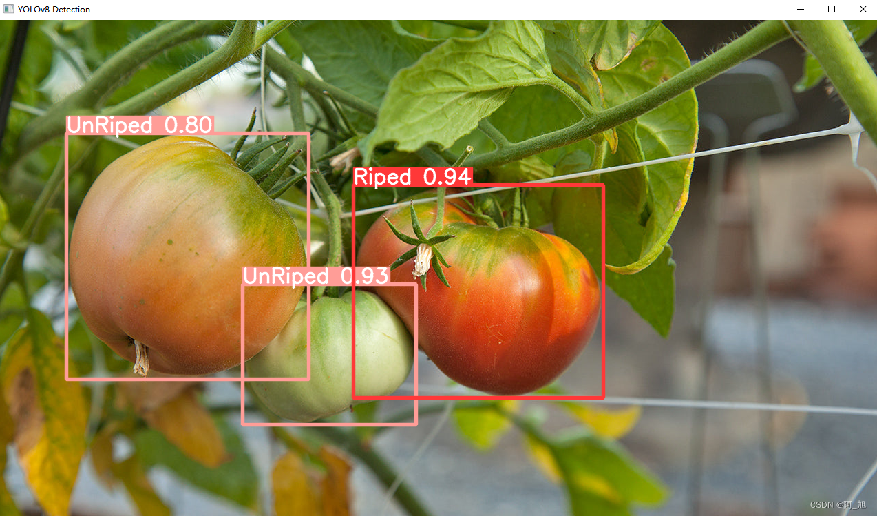 基于YOLOv8深度学习的西红柿成熟度检测系统【python源码+Pyqt5界面+数据集+训练代码】目标检测、深度学习实战-阿里云开发者社区