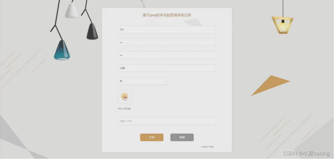 基于springboot Vue的养老院管理系统的详细设计和实现 源码 Lw 部署文档 讲解等 阿里云开发者社区