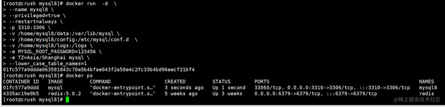 Docker 安装 MySQL8.0-阿里云开发者社区