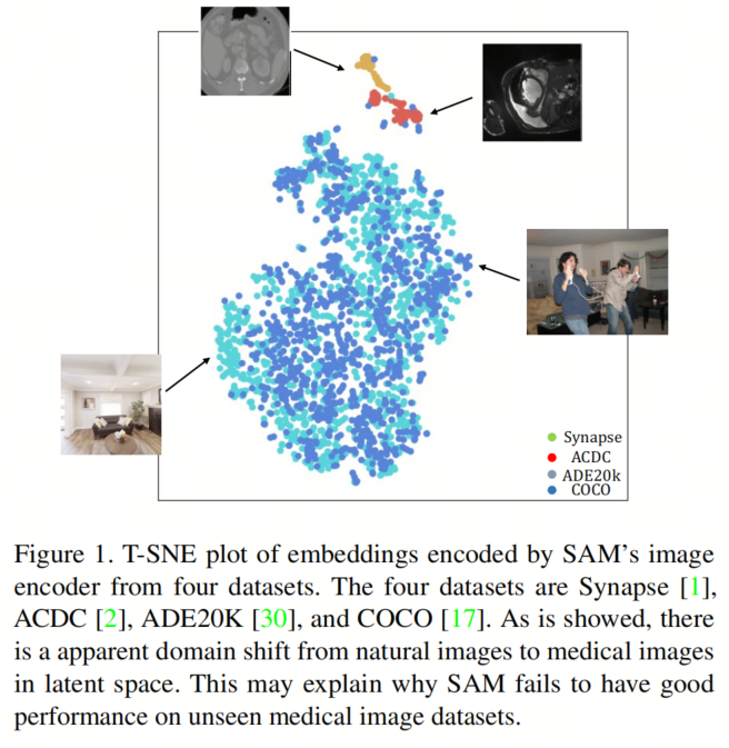 医疗SAM也来啦 | AutoSAM告诉你如何在医疗领域更快更好开发大模型-阿里云开发者社区