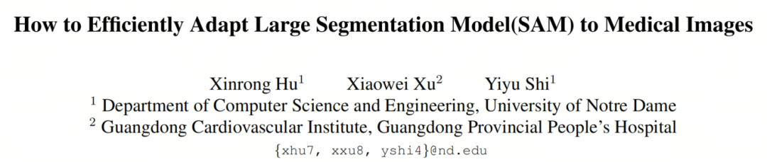 医疗SAM也来啦 | AutoSAM告诉你如何在医疗领域更快更好开发大模型-阿里云开发者社区