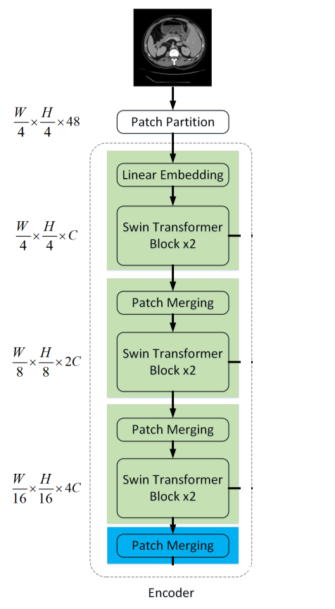 Transformer又一城 | Swin-Unet：首个纯Transformer的医学图像分割模型解读-阿里云开发者社区