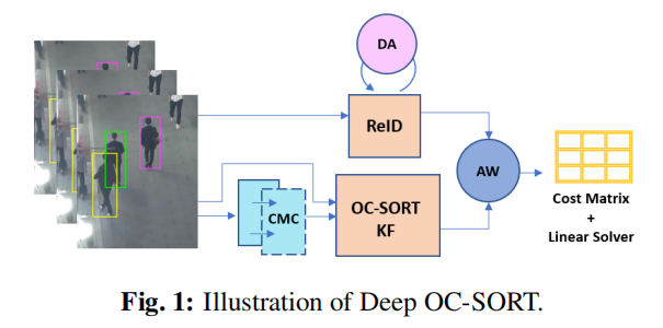 DeepSORT再升级 | Deep OC-SORT引入目标外观信息，大幅领先SOTA-阿里云开发者社区