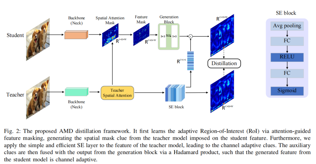 涨点Trick | 超越CWD、FGD和MGD，AMD蒸馏让目标检测对小目标更有效（一）-阿里云开发者社区