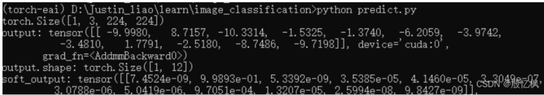 PyTorch训练ResNet50模型并转换为ONNX用于RK3568部署-开发者社区-阿里云