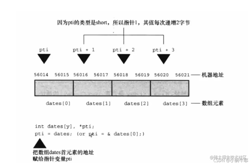 函数、数组和函数（C Primer Plus第六版）-阿里云开发者社区