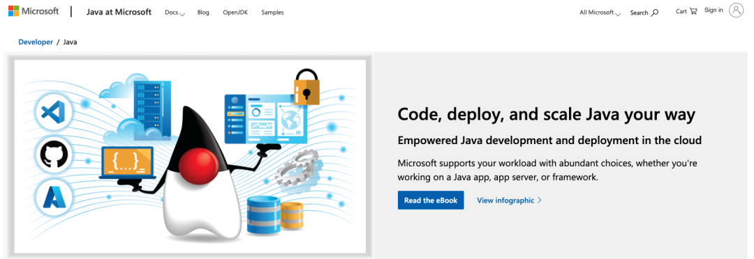 微软全力拥抱 Java！-阿里云开发者社区