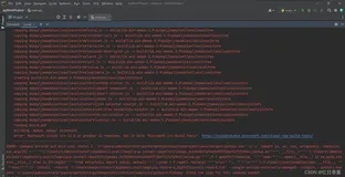 Process exited with an error: 1 (Exit value: 1) 问题处理-阿里云开发者社区