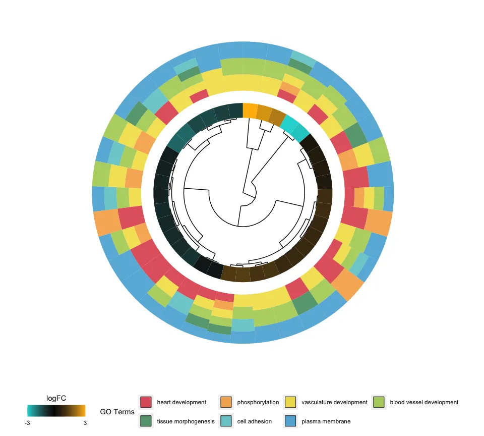 GOplot｜宝藏R包，拯救你的GO富集结果，杜绝平庸的条形图-阿里云开发者社区