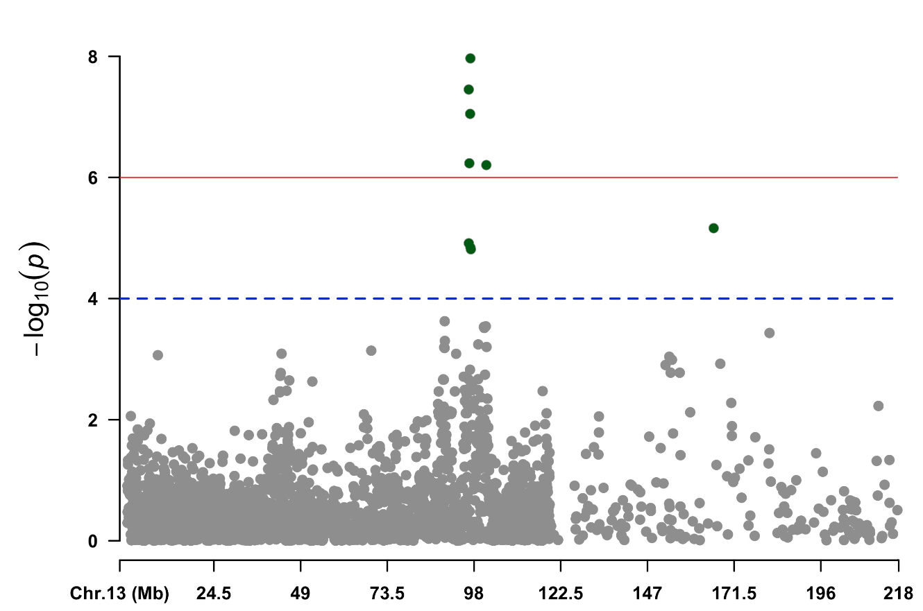 CMplot & rMVP | 全基因组曼哈顿图和QQ图轻松可视化！-阿里云开发者社区