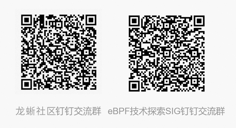 eBPF SIG年度动态： eBPF和Wasm深度融合、参与7场活动及2023展望 | 龙蜥 SIG-阿里云开发者社区
