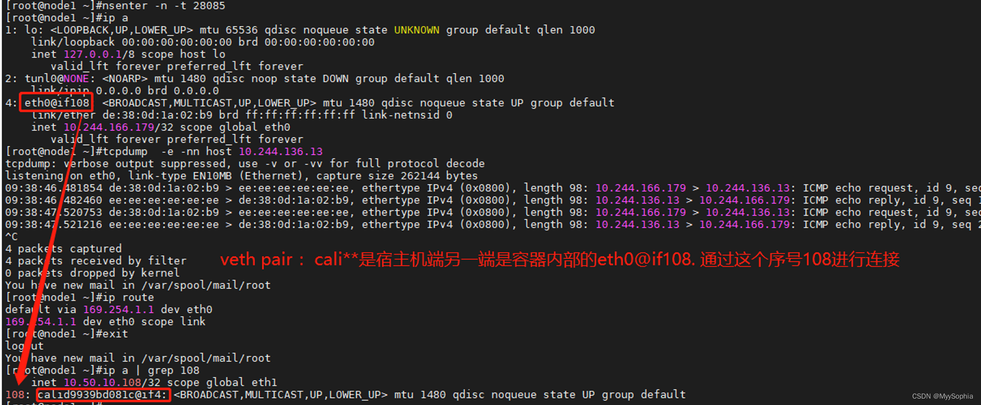K8s为什么需要calico? calico 原理深入理解.-阿里云开发者社区