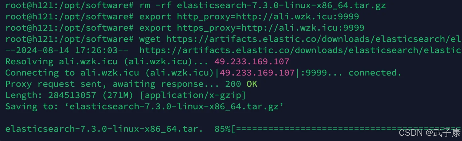 大数据-168 Elasticsearch 单机云服务器部署运行 详细流程-阿里云开发者社区