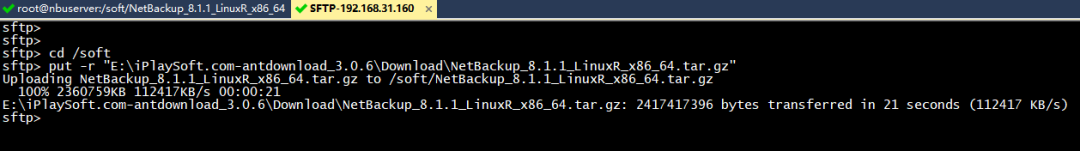 企业级备份软件Veritas NetBackup(NBU) 8.1.1服务端的安装部署-阿里云开发者社区