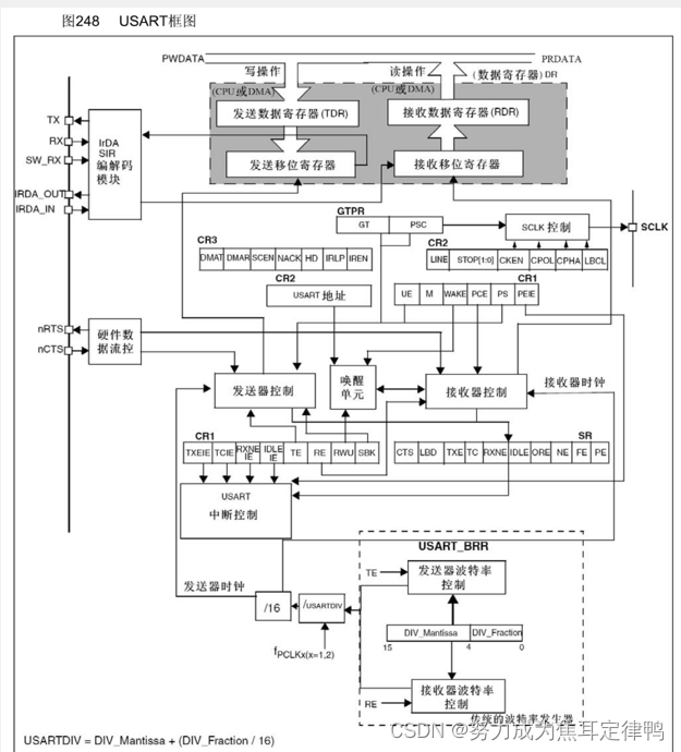 STM32:USART串口外设(内含：1.USART简介+2.USART基本结构+3.数据帧+4.起始位侦测+5.数据采样+6.波特率发生器)-阿里云开发者社区