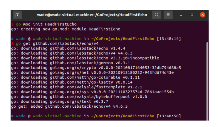 回声嘹亮 之 Go 的 Echo 框架 —— 上手初体验-阿里云开发者社区