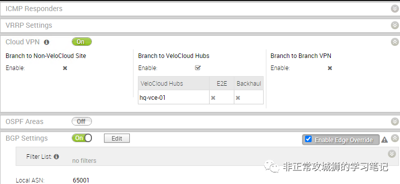漫步云网端·多样的SD-WAN by VeloCloud拓扑-阿里云开发者社区