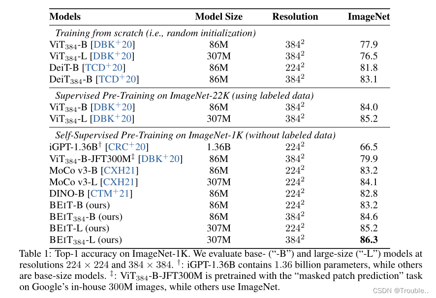 详解BEIT如何实现BERT式的Image Transformer预训练-开发者社区-阿里云