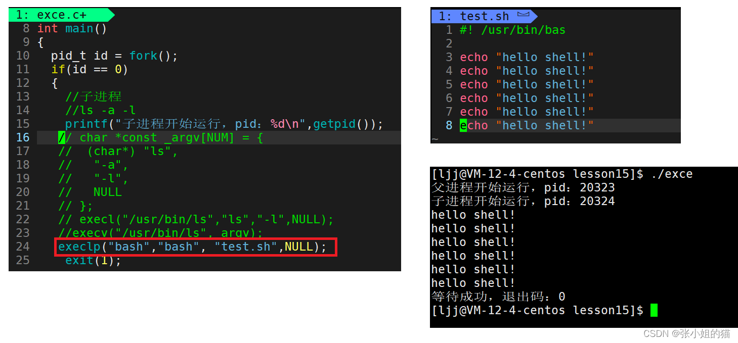 【Linux】进程控制 （万字详解）—— 进程创建 | 进程退出 | 进程等待 | 程序替换 | 实现简易shell(下）-阿里云开发者社区