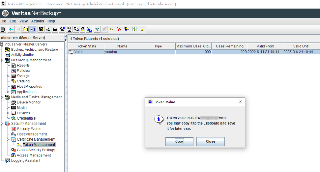 企业级备份软件Veritas NetBackup(NBU) 8.1.1服务端的安装部署-阿里云开发者社区