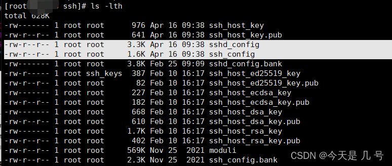 【权限维持】Linux&OpenSSH&PAM后门&SSH软链接&公私钥登录-阿里云开发者社区