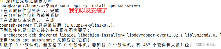 银河麒麟v10系统SSH远程管理及切换root用户的操作方法-阿里云开发者社区