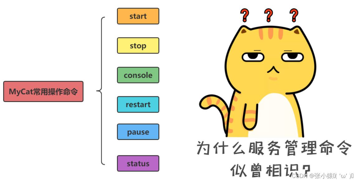 海量数据存储与查询 MyCat（未完成）（一）-阿里云开发者社区