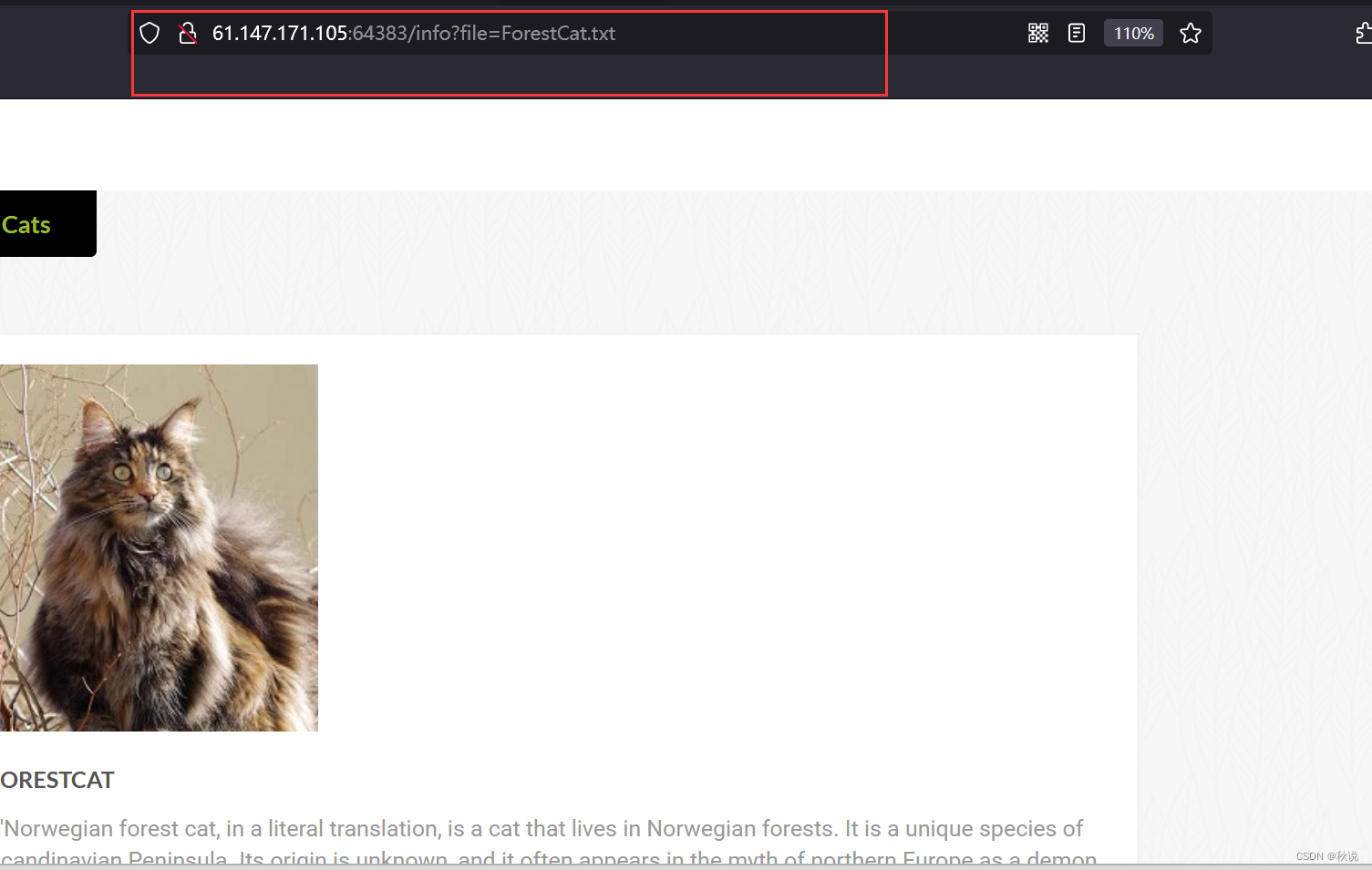 【网络安全/CTF】catcat-new-阿里云开发者社区