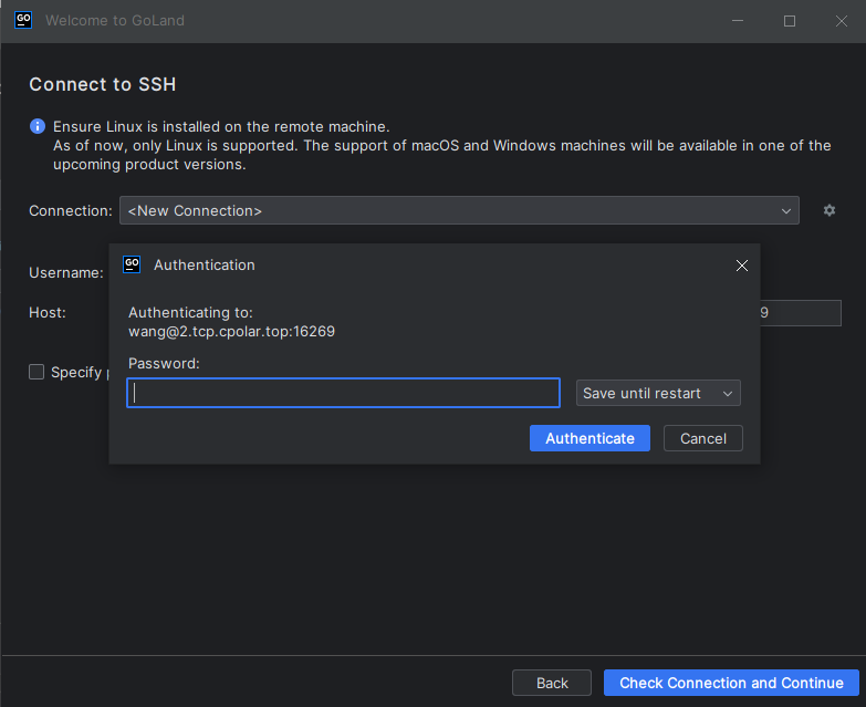配置GoLand通过SSH与cpolar内网穿透远程开发-开发者社区-阿里云