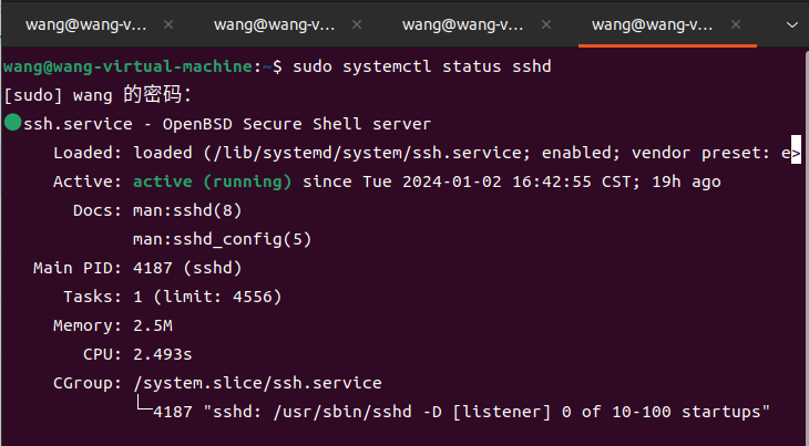 GoLand远程开发IDE：使用SSH远程连接服务器进行云端编程-阿里云开发者社区