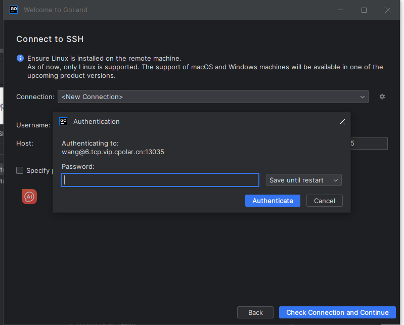 GoLand远程开发IDE：使用SSH远程连接服务器进行云端编程-阿里云开发者社区