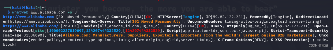 WhatWeb网站指纹识别命令使用与插件编写指南-开发者社区-阿里云