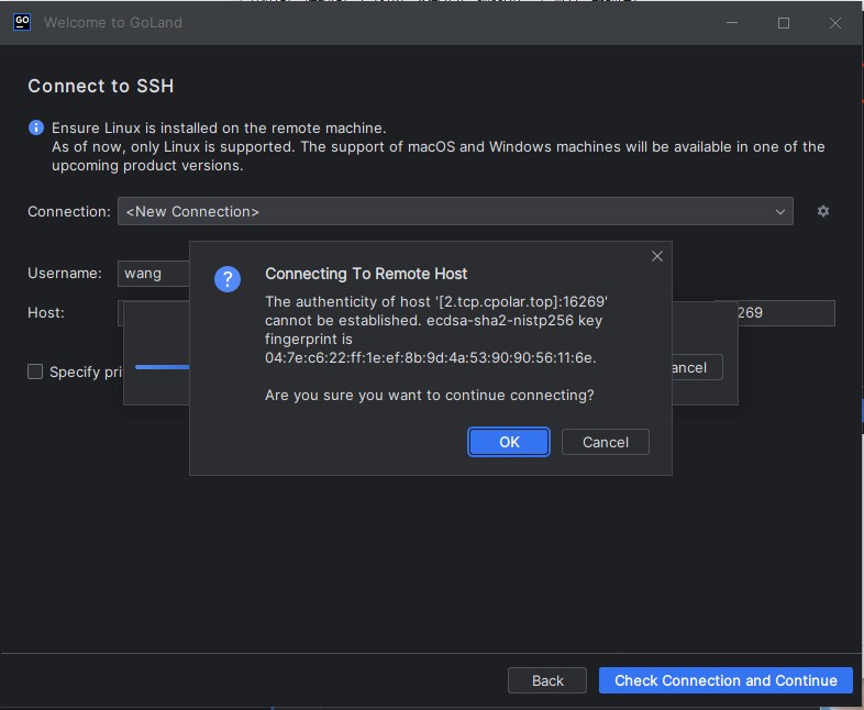 GoLand远程开发IDE：使用SSH远程连接服务器进行云端编程-阿里云开发者社区