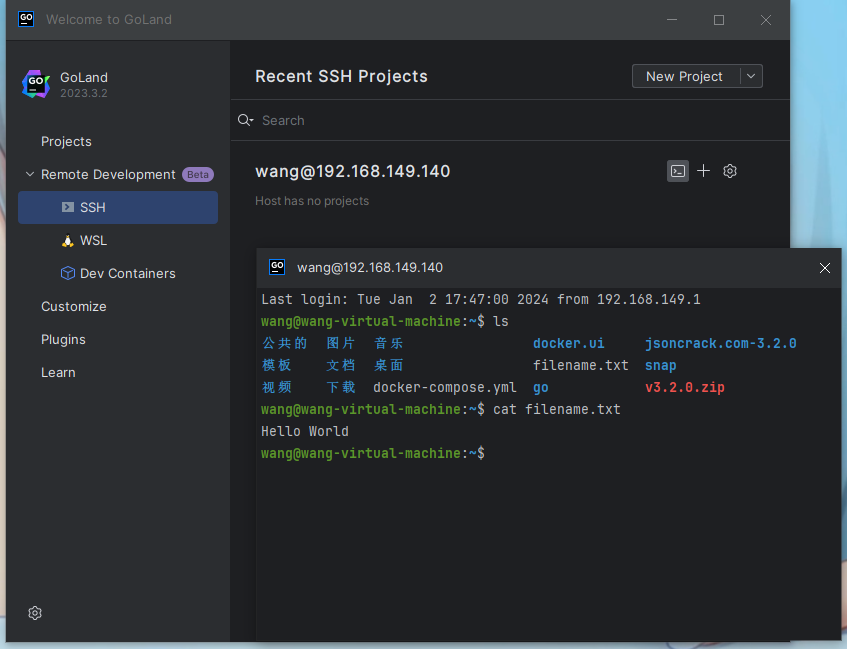 配置GoLand通过SSH与cpolar内网穿透远程开发-开发者社区-阿里云
