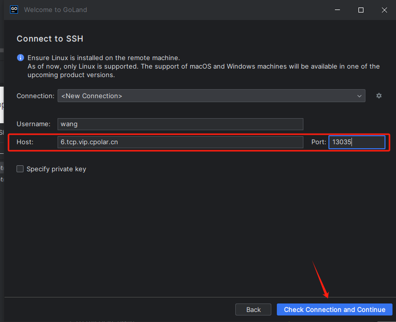 配置GoLand通过SSH与cpolar内网穿透远程开发-开发者社区-阿里云
