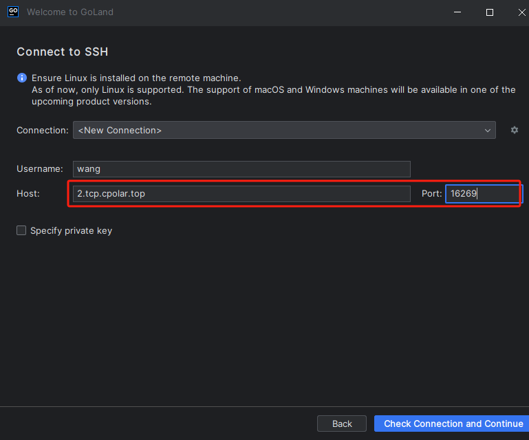 GoLand远程开发IDE：使用SSH远程连接服务器进行云端编程-阿里云开发者社区
