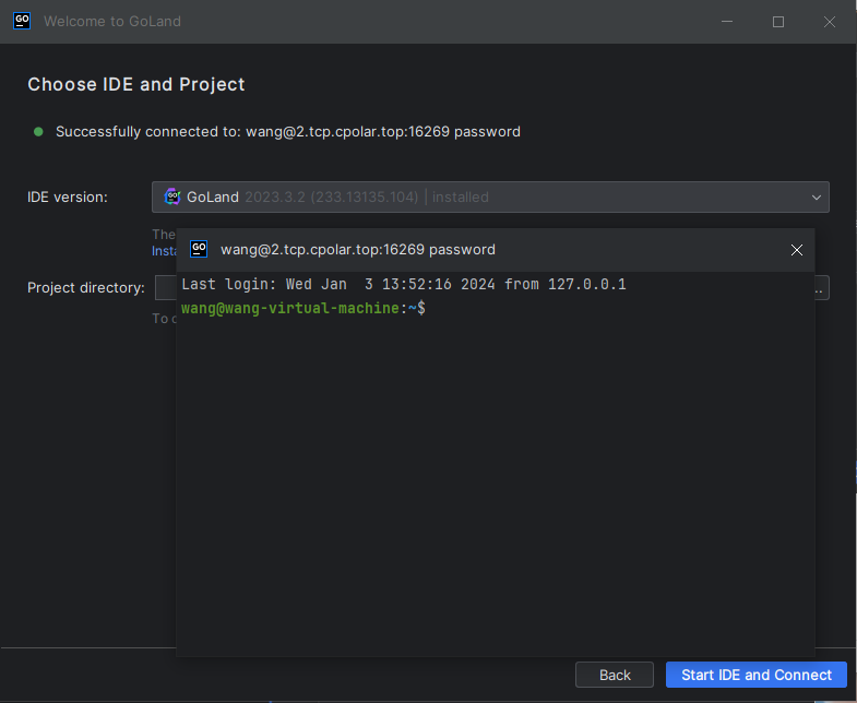 GoLand远程开发IDE：使用SSH远程连接服务器进行云端编程-阿里云开发者社区