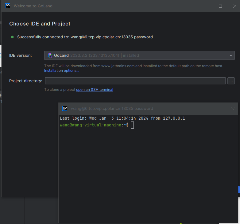 配置GoLand通过SSH与cpolar内网穿透远程开发-开发者社区-阿里云