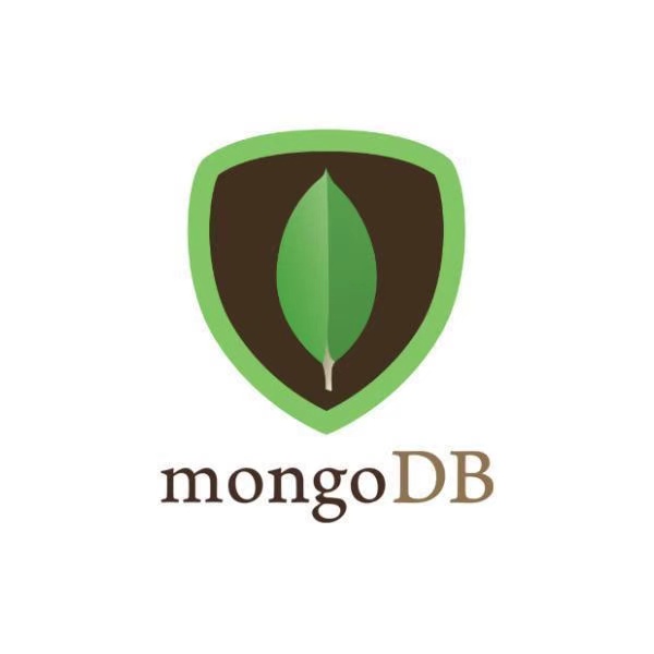 MongoDB 是什么？有哪些应用场景？-阿里云开发者社区