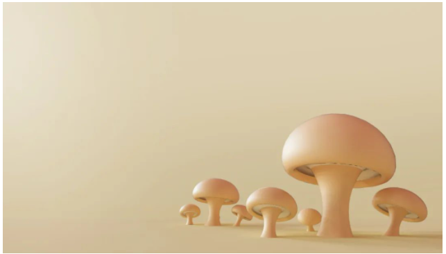 详解WebContainer如何用Webassembly与QuickJS构建安全沙箱-开发者社区-阿里云