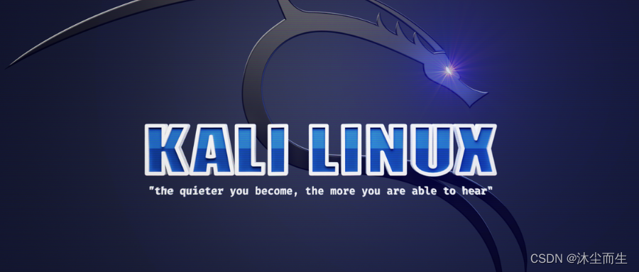 在虚拟机中安装Kali Linux的详细步骤-开发者社区-阿里云