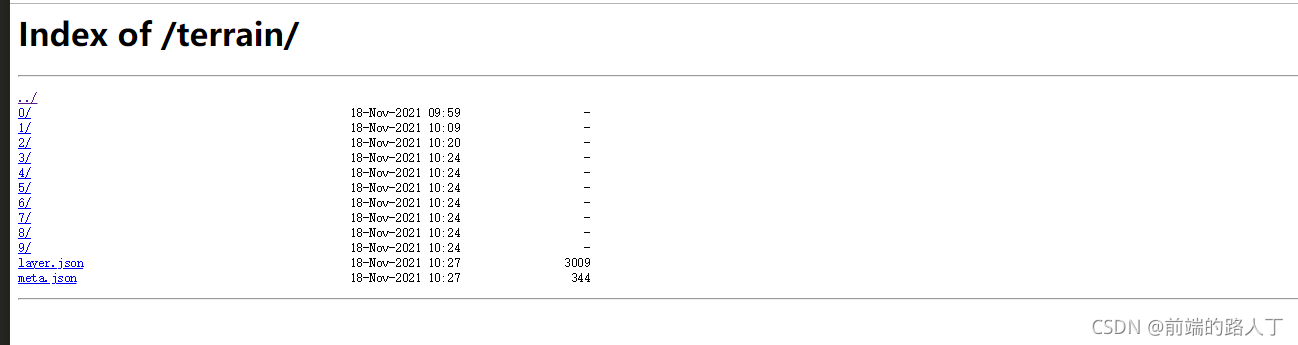Vue中使用Nginx发布3D地形数据供Cesium加载-开发者社区-阿里云
