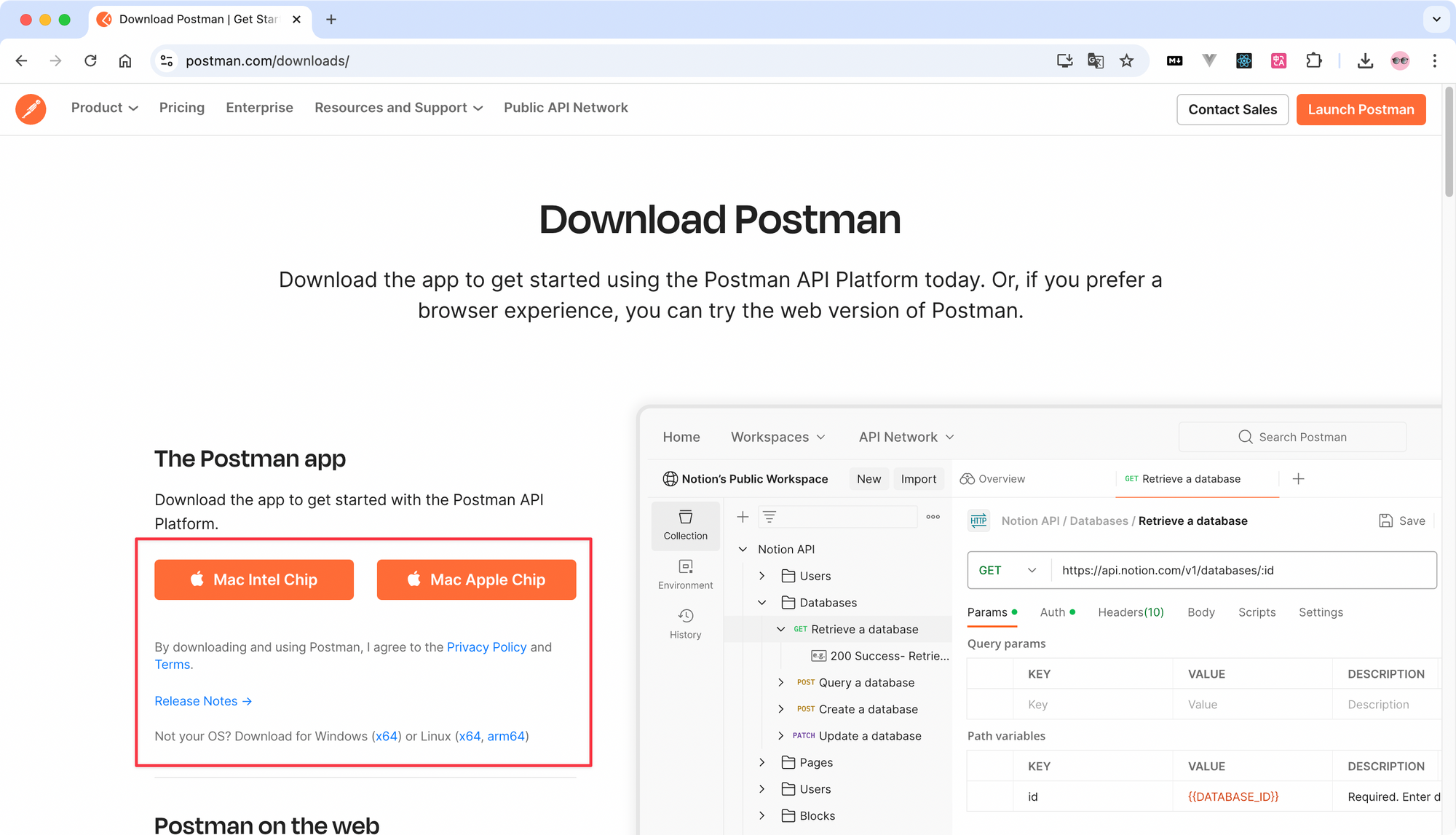 Postman下载安装指南及与Apifox的API工具选型对比-开发者社区-阿里云