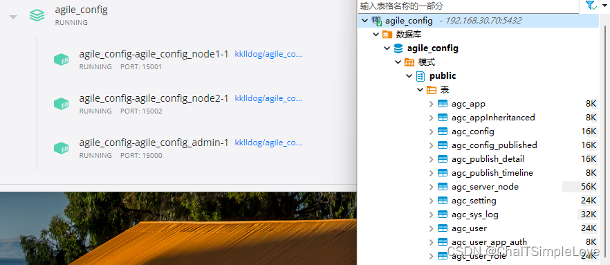基于.net core 开发的轻量级配置中心 - AgileConfig-阿里云开发者社区